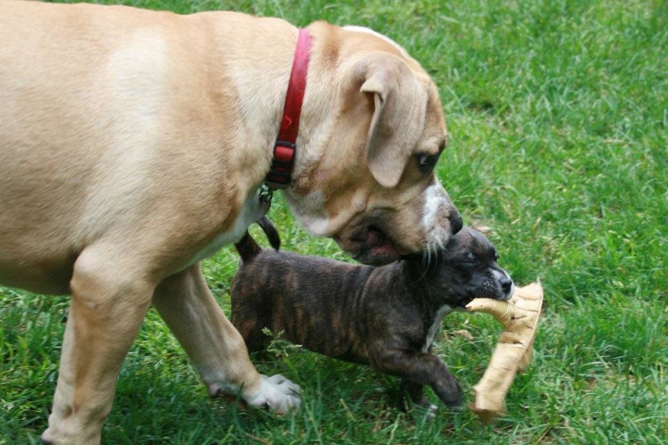 Petition · Stop the Trauma: Find a new location for the City of Lowell ...