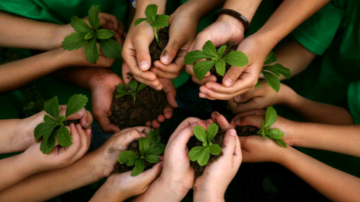 Petición · Save Green! Save life! - Estados Unidos · Change.org