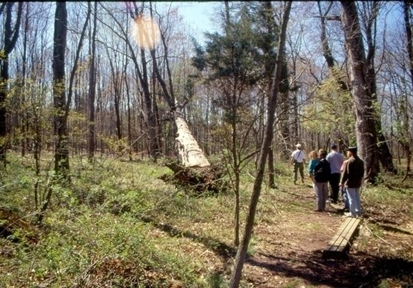 Petition · Oppose Commercial Logging on NJ State Park Lands - United ...