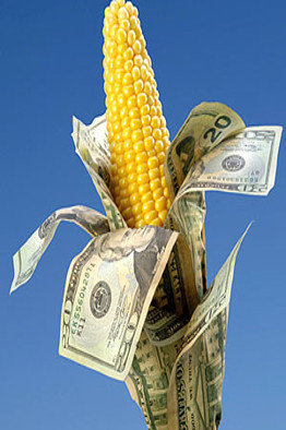 Petition · Cut subsidies for corn and soybeans from the Farm Bill ...