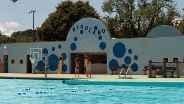 Petition · Save Birdland Pool from Closure - Des Moines, United States ...