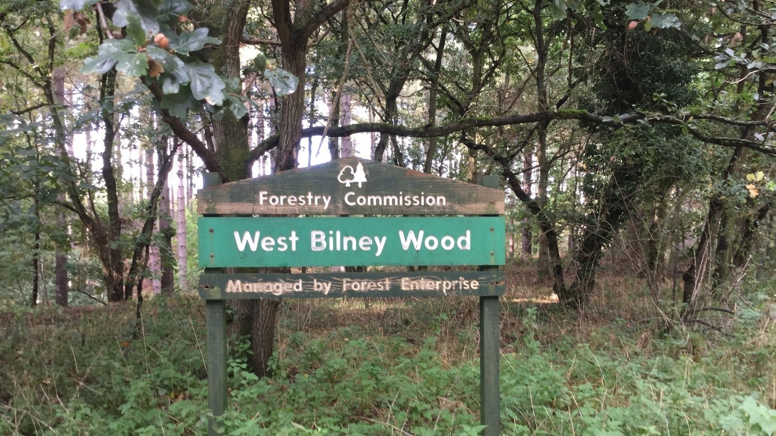 Petition · Protect West Bilney Wood for public use and the wildlife ...