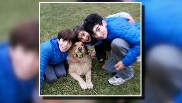 Petition · Free Maya Eibschitz-Tsimhoni's 3 Children and FIRE Judge ...