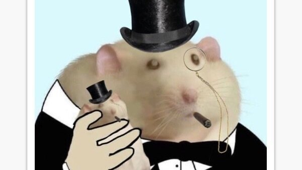 Petition · Rats deserve it all! Even beans! - United States · Change.org