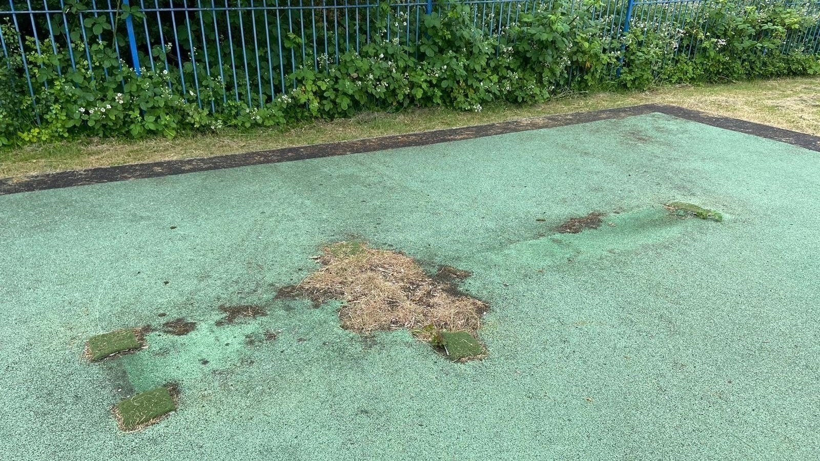 Petition · Children's play facilities - Seel Park, Dinas Powys - United ...