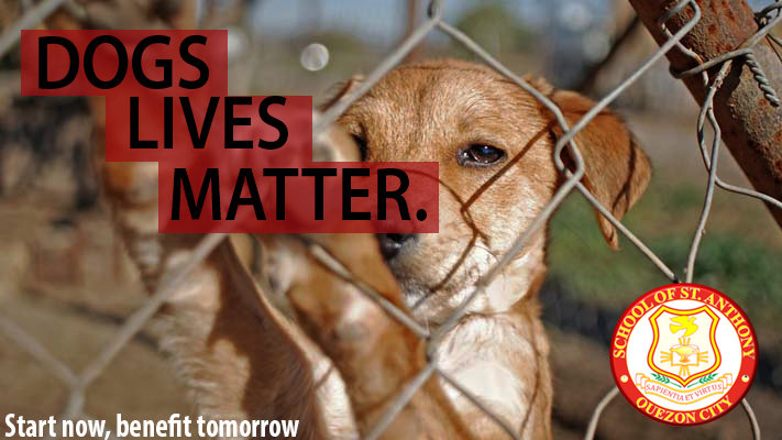 Petition · Stray Dogs Should Stay - Philippines · Change.org