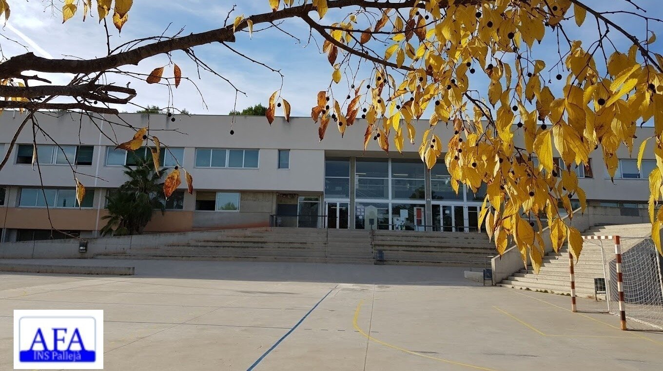 Petición · NO al retall de grups previst pel proper curs 2024-2025 a l ...