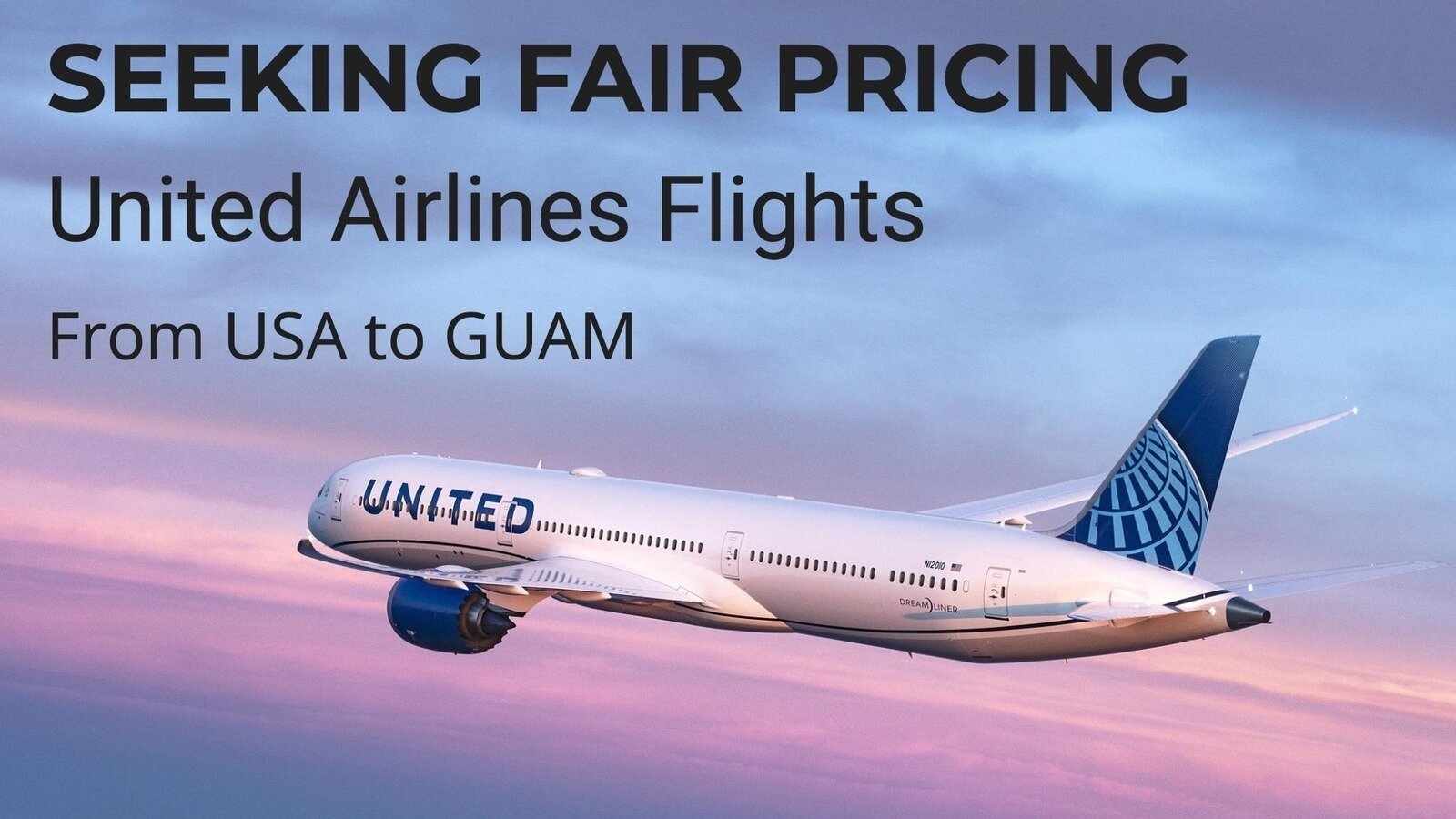 Petition · Seeking Fair Pricing: United Airlines Flights from USA to ...