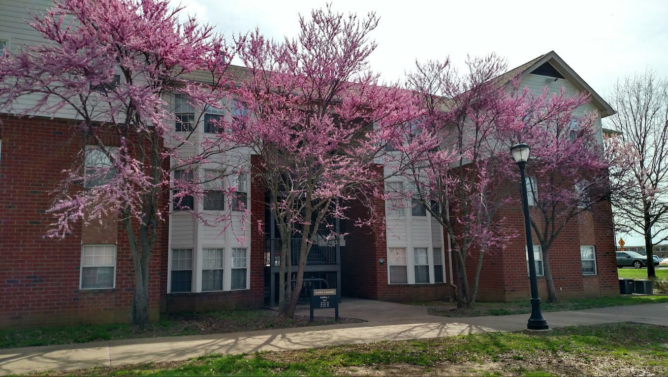 Petition · Make MTSU Scarlett Lots 1 and 9 Red Lots ONLY - United ...