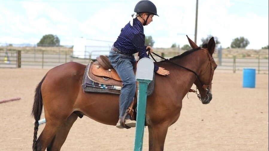 Petition · Keep the Horse Arena along Dump Road - United States ...