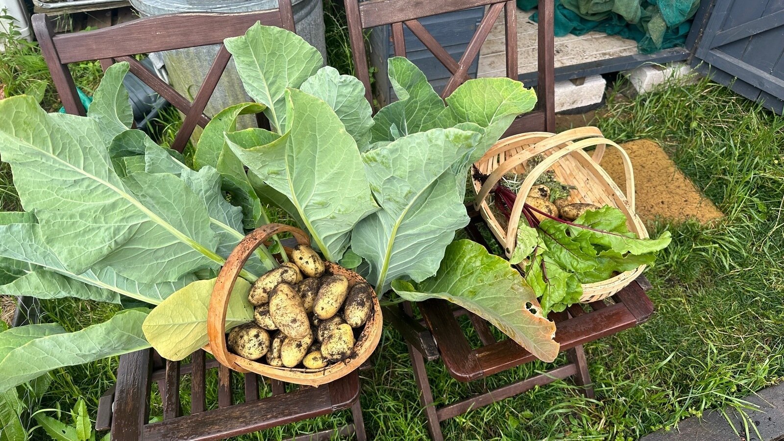 Petition · Preserve Nocton's Allotments Amidst the Legal Cases - Nocton ...