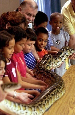 Petition · Remove the large constrictors from the Lacey Act! - United ...