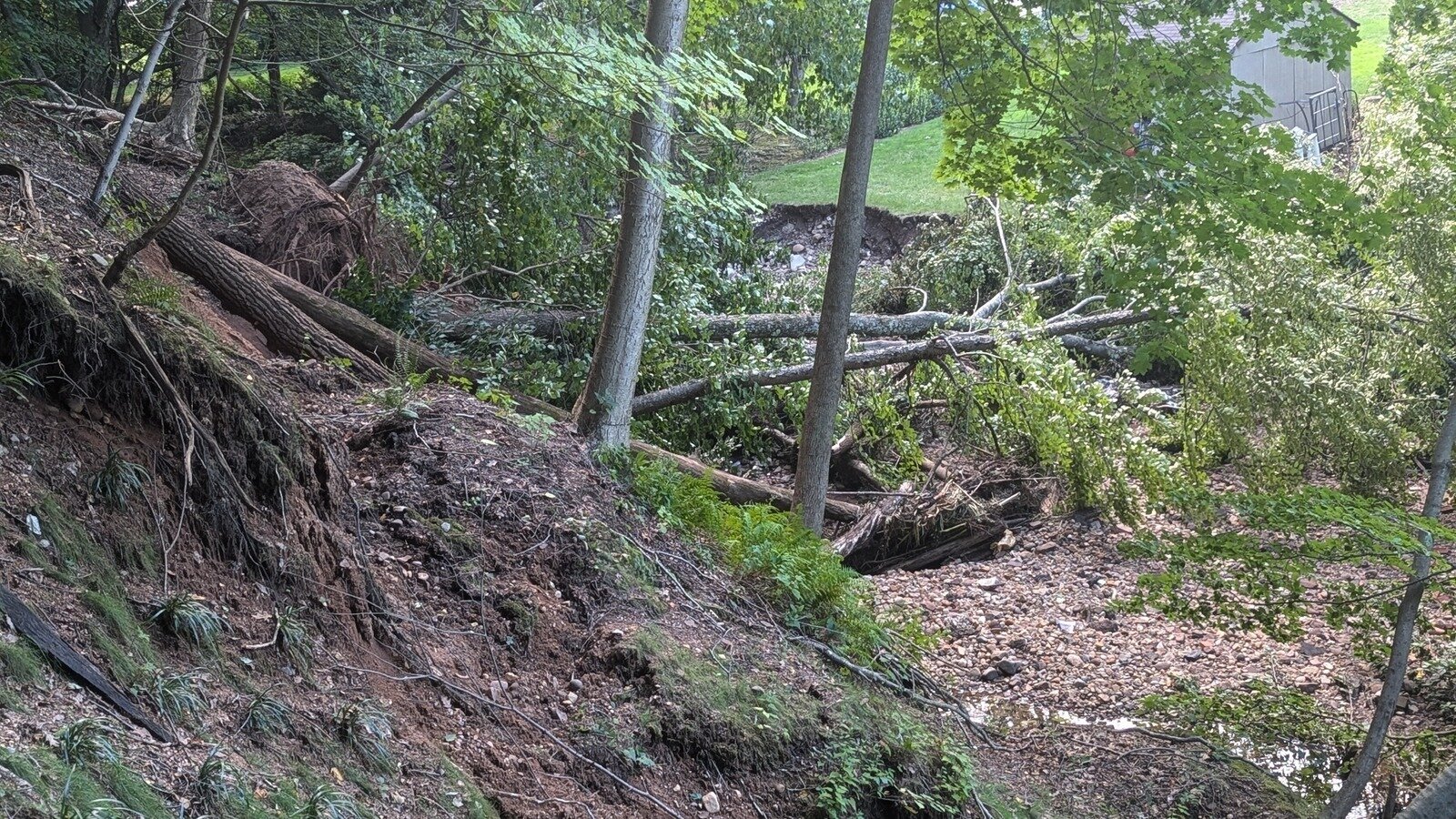 Petition · Mandate Repairs & Stabilization for all of Summit's Salt ...