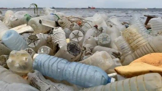 Petition · Single Use Plastic Challenge - United States · Change.org