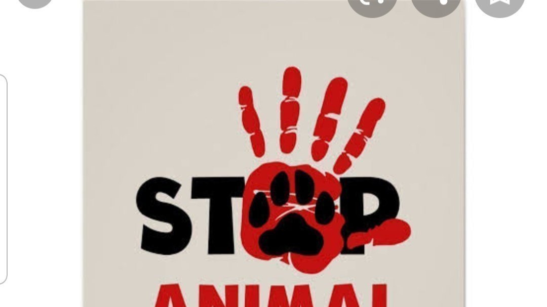 Petition · For people to stop abusing animals - South Africa · Change.org