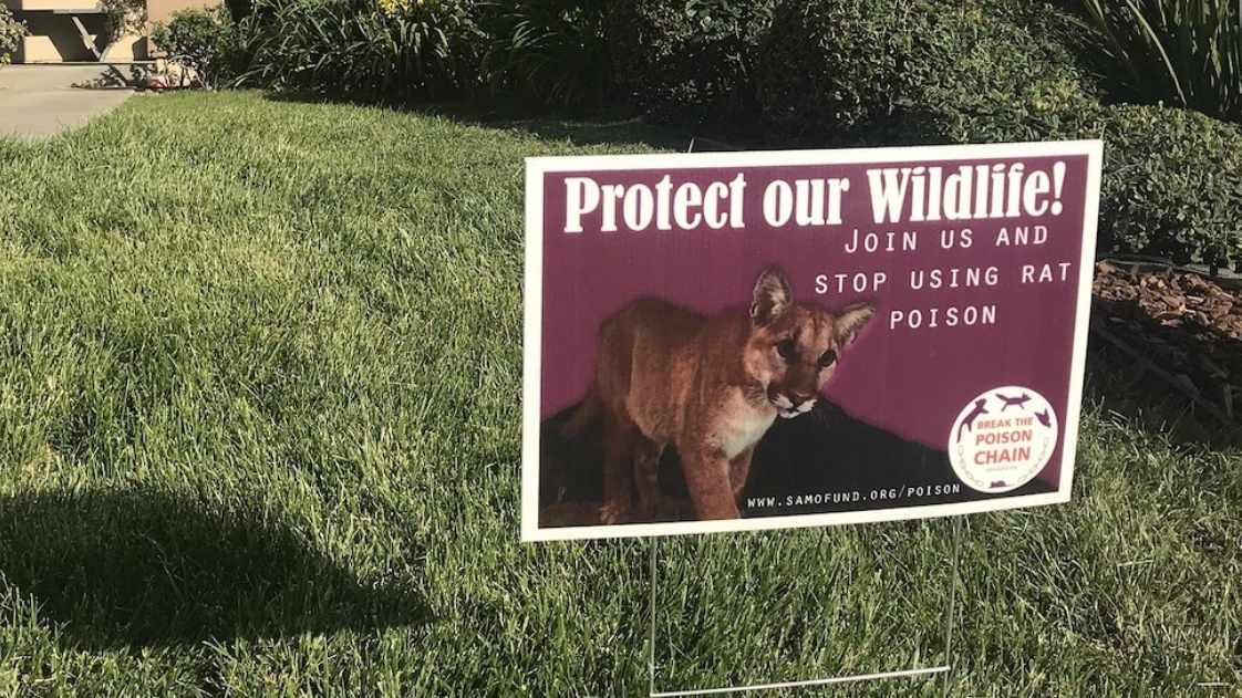 Petition · Demand Administration Ban Rodenticide Across the 5C's ...