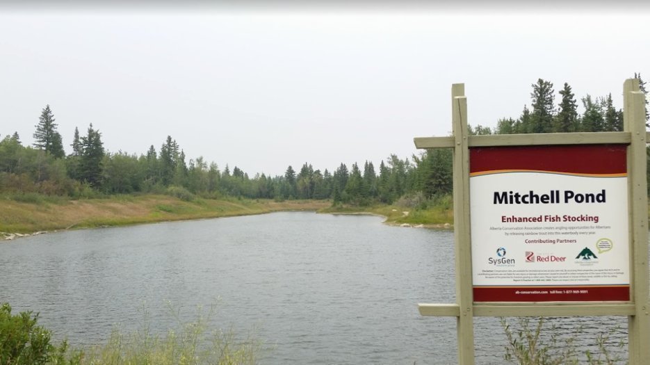 Petition · Better fish stock in the Mitchell pond in Red Deer, Alberta ...