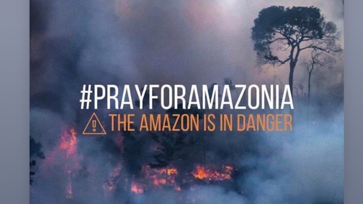 Petition · Amazon.com Please Save the Amazon - United Kingdom · Change.org