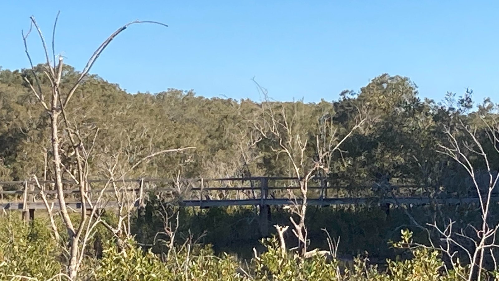 Petition · Hyland Park Footbridge Replacement (URGENT) - Australia · Change.org