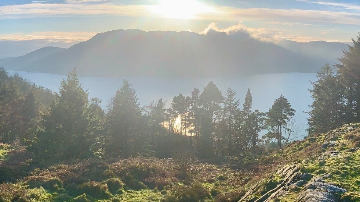 Petition · Say NO to Gondola in Kilbroney Forest Park, Rostrevor, Co ...