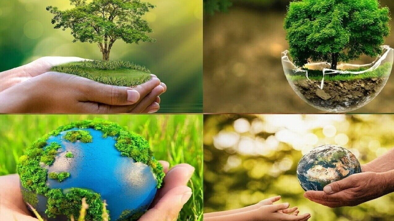 Petition · Preserving Our Earth: Urgent Action Needed on Environmental ... Petition · Preserving Our Earth: Urgent Action Needed on Environmental ...
