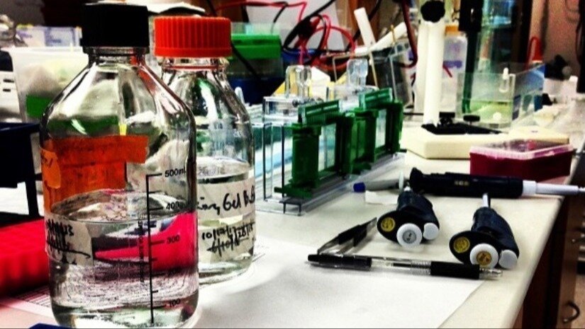 Petition · Protect U . S. Science - Defend the NIH - United States ...