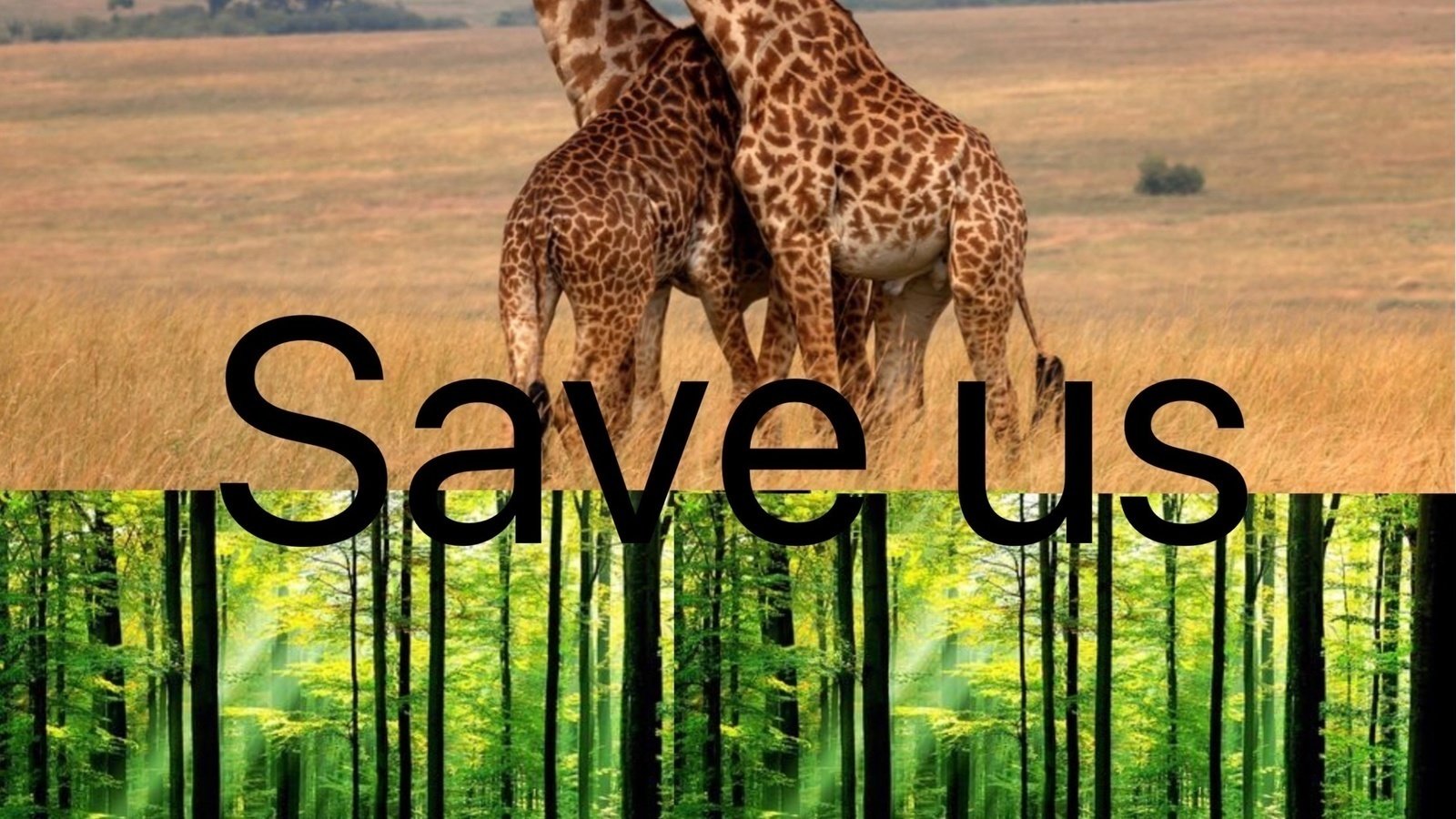 Petition · Let’s Stop Pollution In Our Society - United States · Change.org