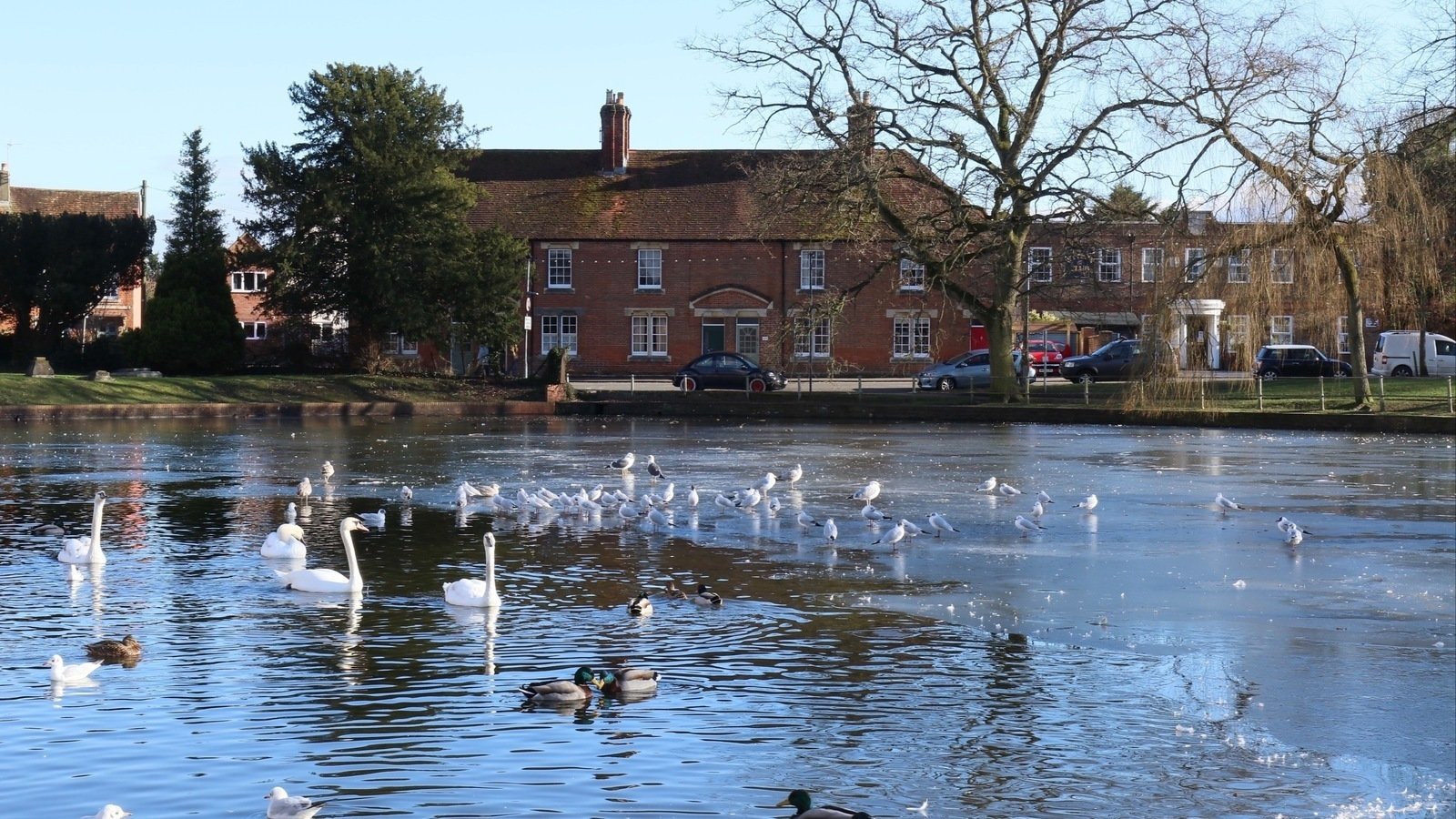 Petition · Ensure the Devizes' Crammer is restored to a suitable ...