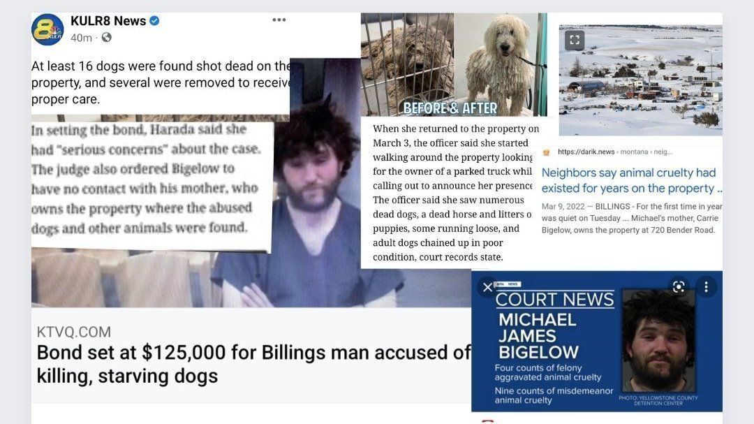 Petition · Charge Michael Bigelow AND Carrie Bigelow with Animal ...