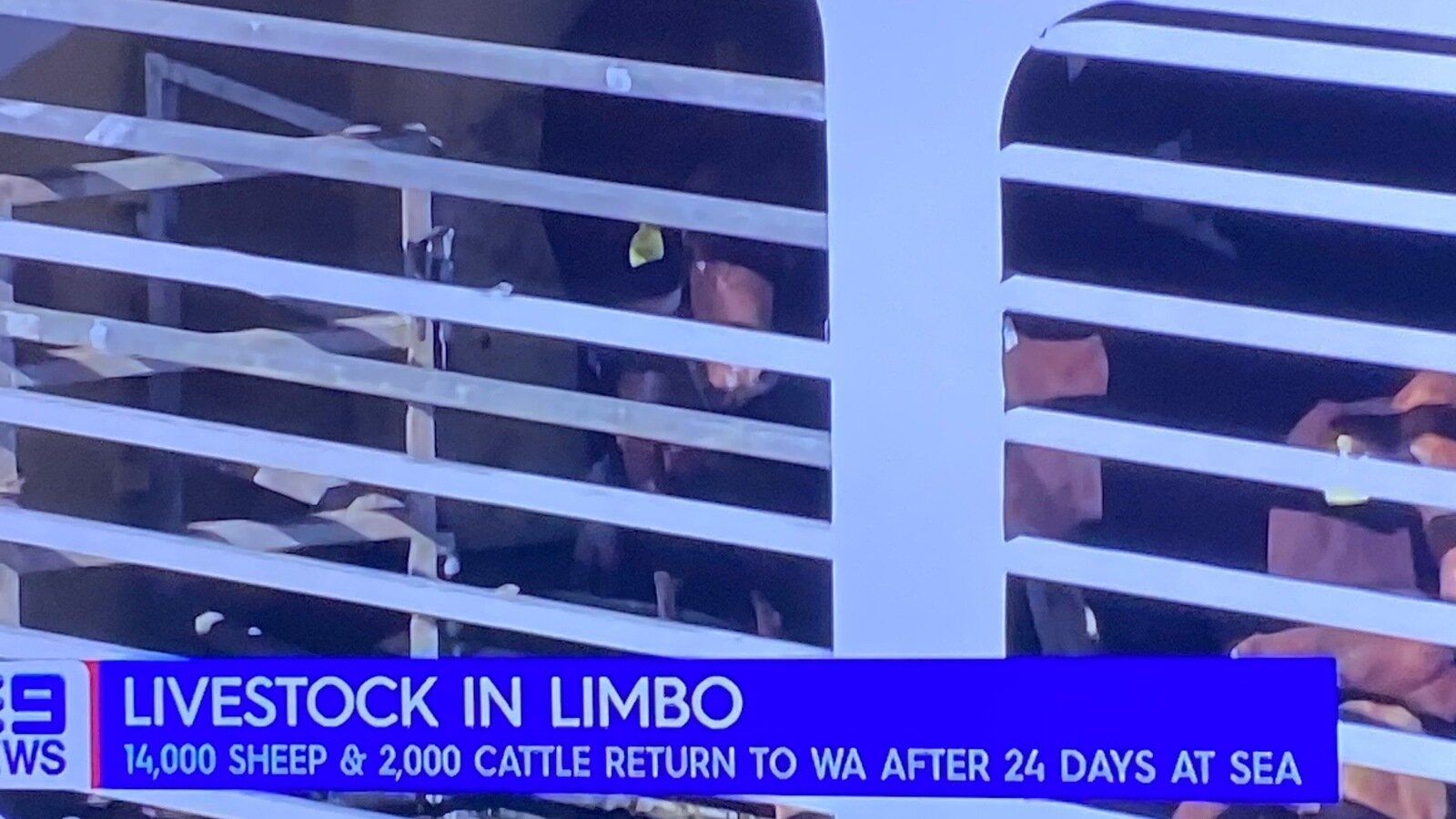 Petition · End the Inhumane Transportation of Livestock on Ships ...