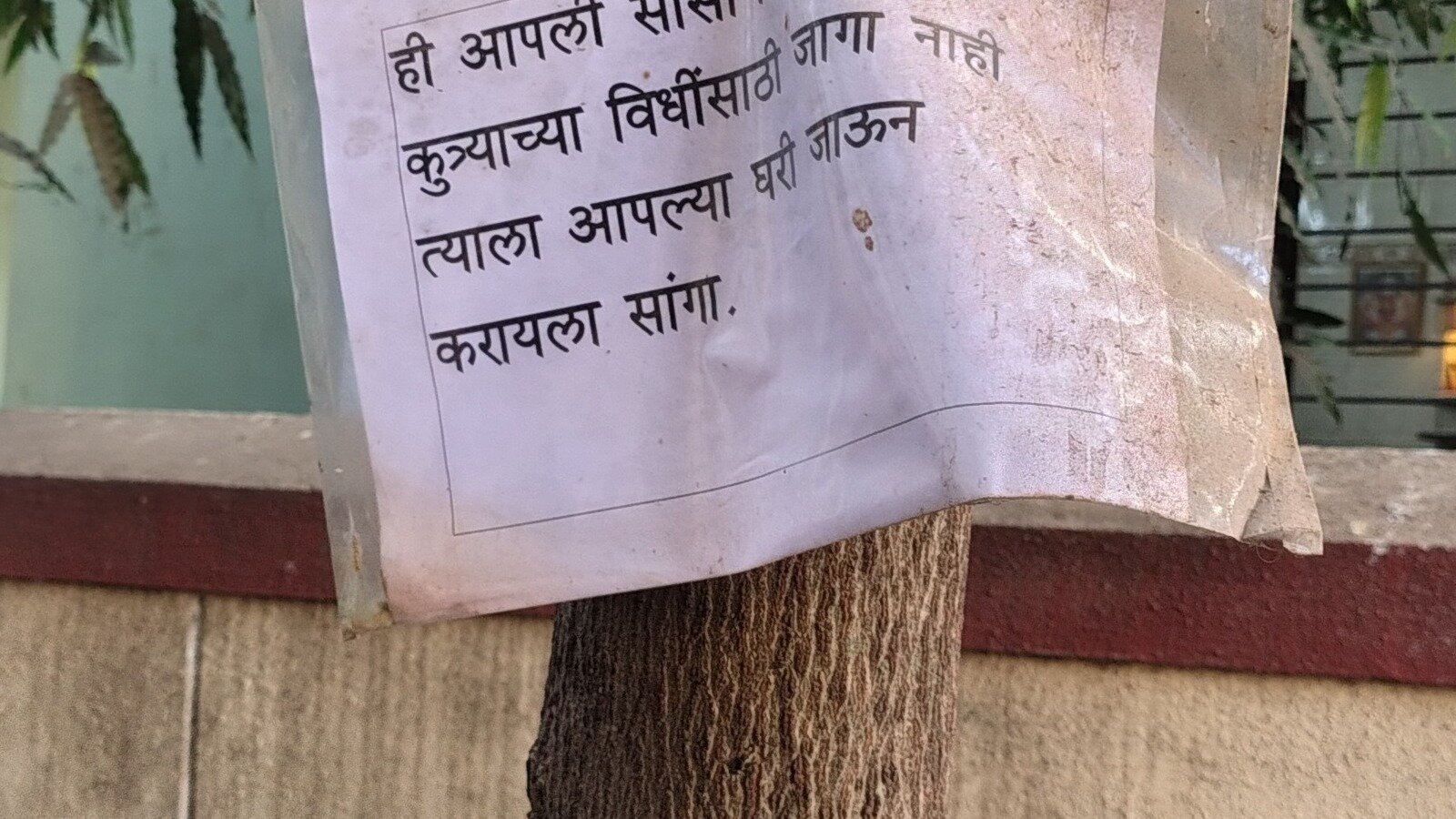 Petition · Support Animal Activist Chetan Patel against Defamation and ...