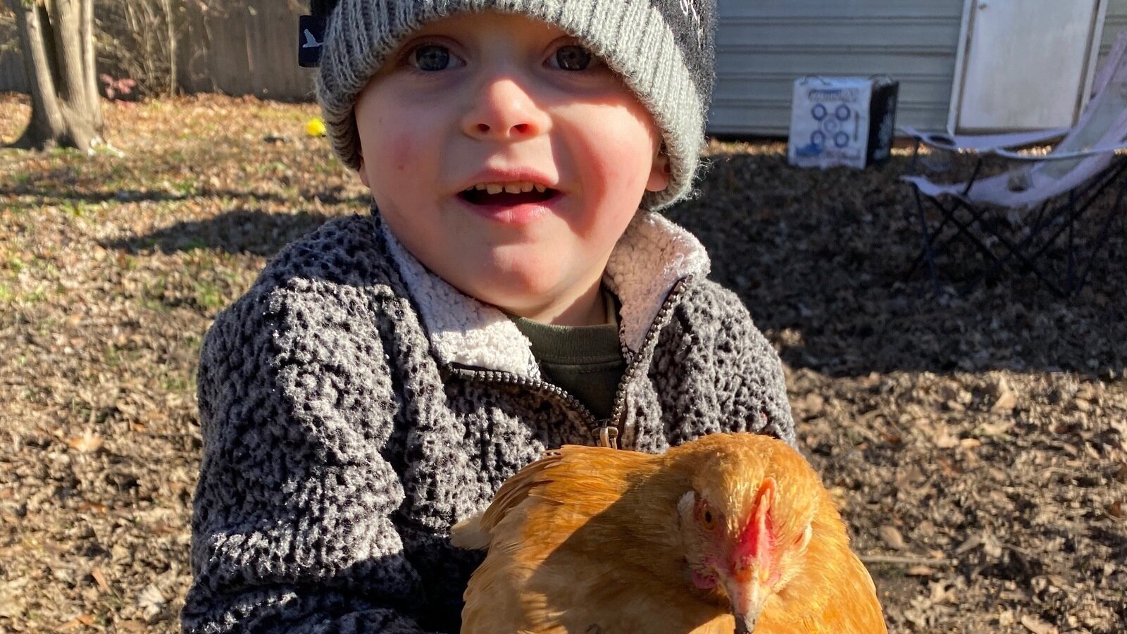 Petition · Support Chicken Owners in Lepanto: Reconsider the Chicken ...