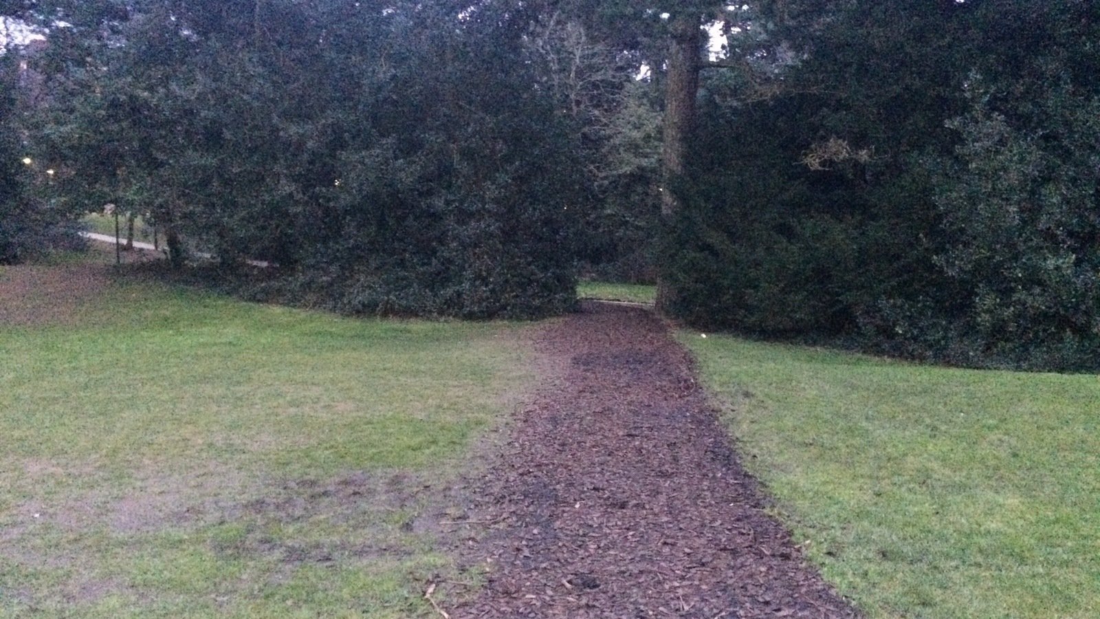 Petition · Petition for Solid Path to Replace the Woodchip Path ...