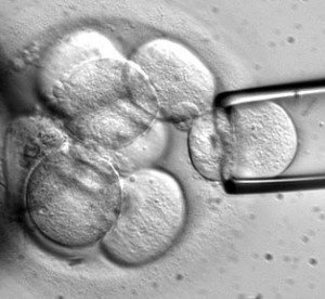 Petition · Revoke the Dickey-Wicker Amendment of 1996 - United States ...