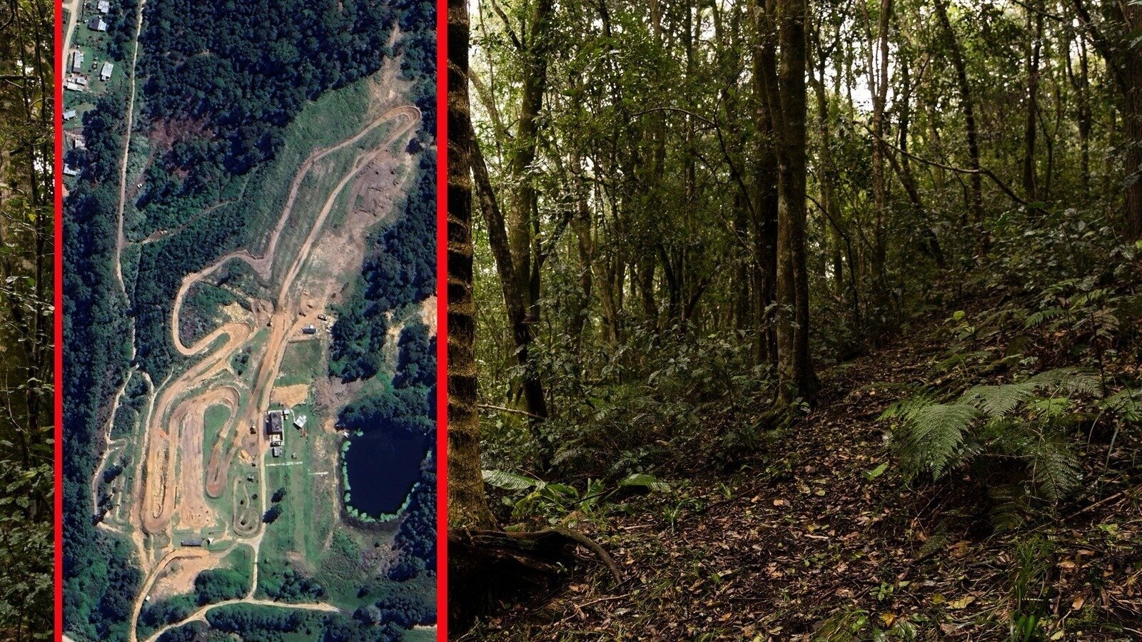 Petition · Help protect the Harkerville forest and Bos River - South ...