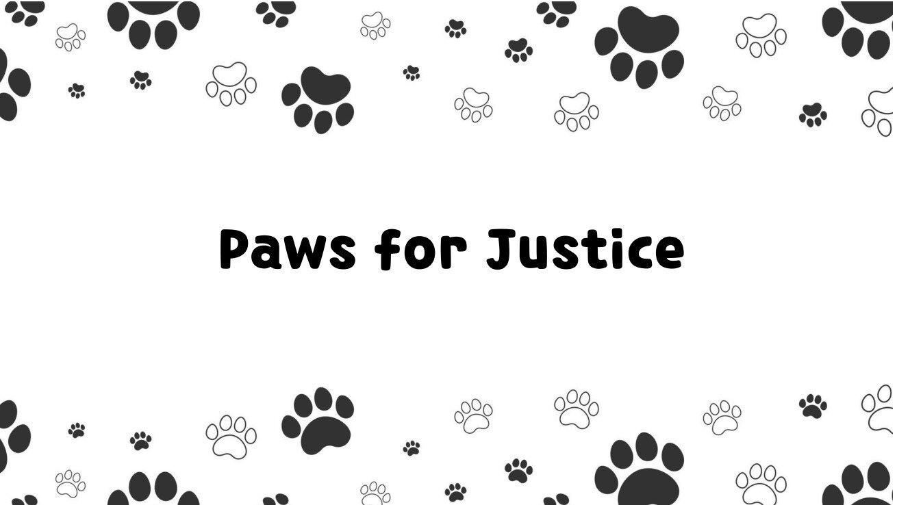 Petition · 🐾Paws for Justice🐾 - Australia · Change.org