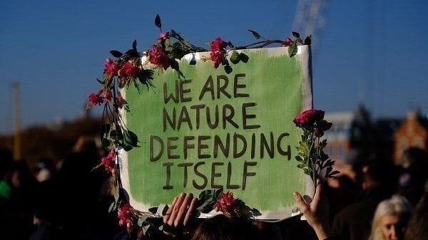 Petition · Fight for our FORESTS, preserve nature for the next ...