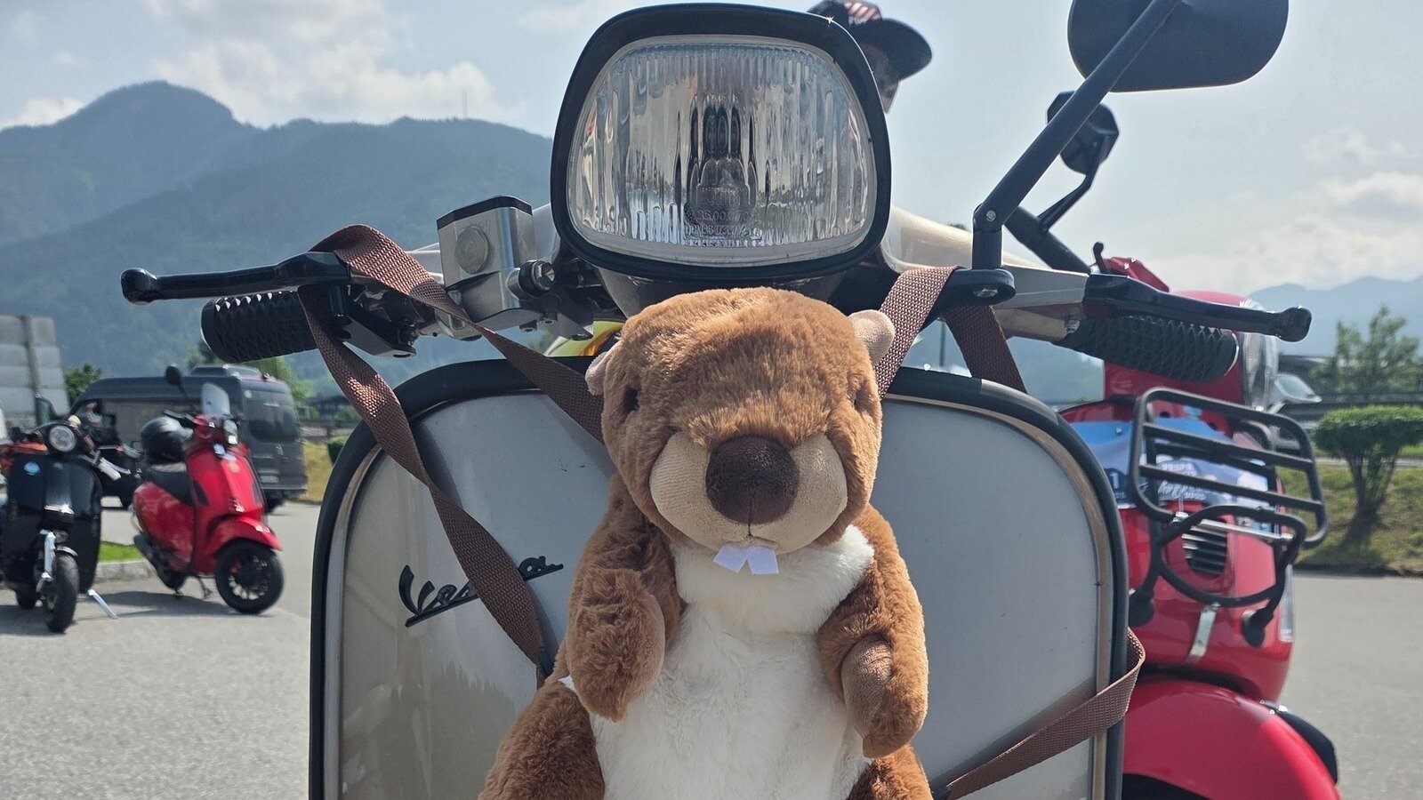 Petition · Ausdehnung der Führerschein-Erweiterung B196 auf ganz Europa ...