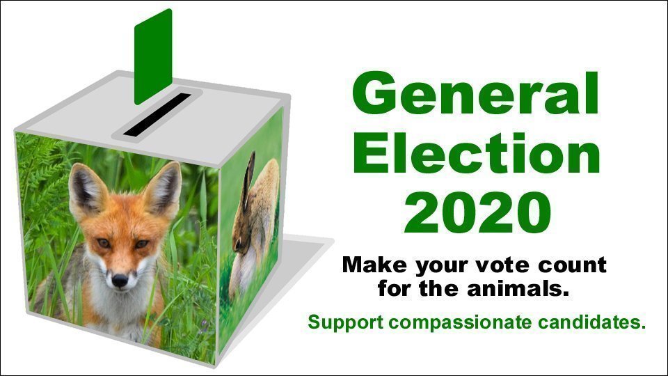 Petition update · General Election 2020: Make your vote count for the ...