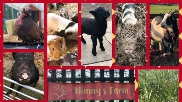 Petition · HELP NUNNY’S FARM OPEN !!!!! - United Kingdom · Change.org