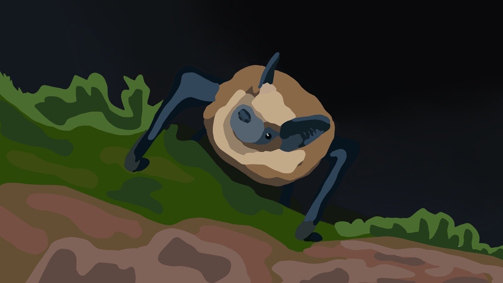 Petition · Save our bats: Ban the harmful pesticides know as ...