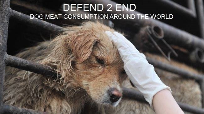Petition · NO DOG & CAT MEAT CHANGE CANADIAN LAWS - Canada · Change.org