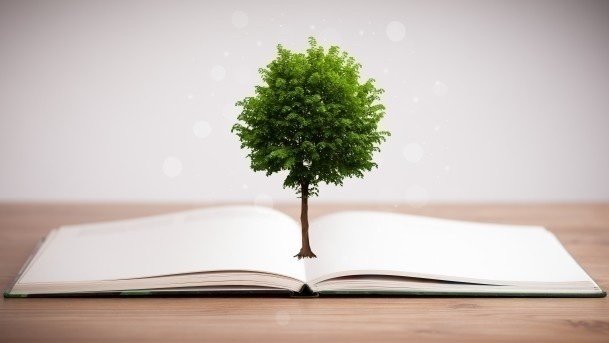 Petition · Less paper, more trees - Latvia · Change.org