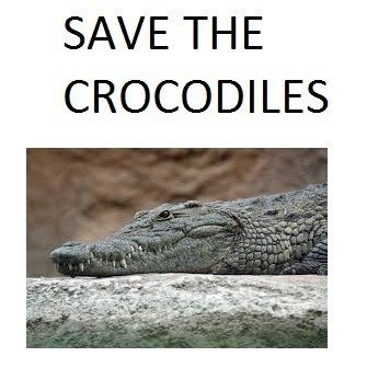 Petition · No more crocodile culling - Australia · Change.org