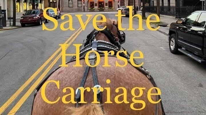 Petition · SAVE the Carriage HORSES and their industry - United States ...