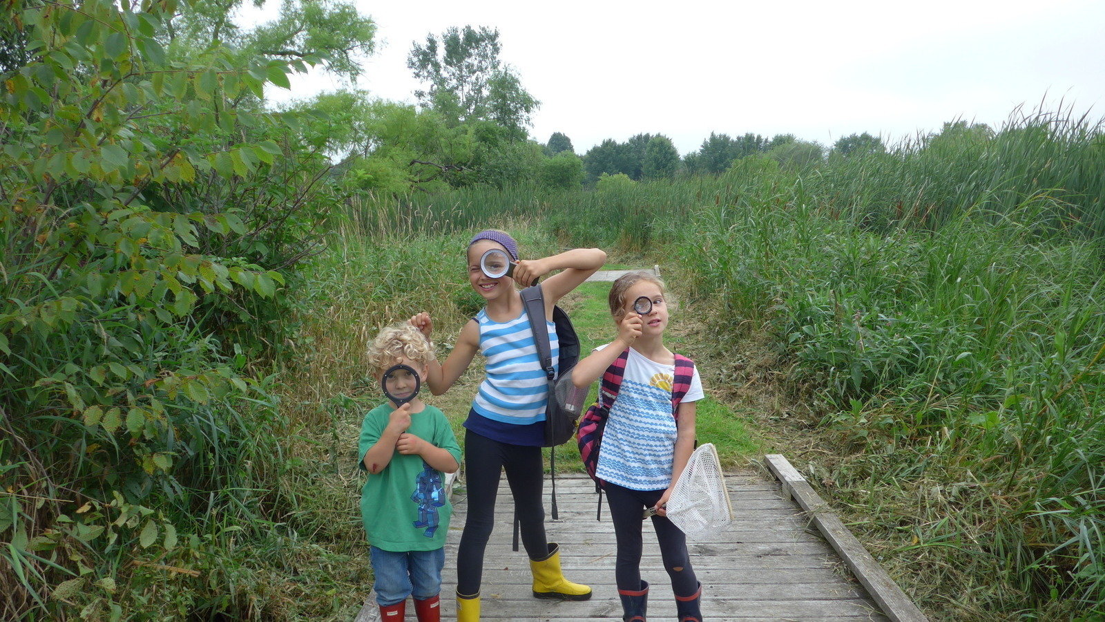 Petition · Don't Remove the Middleton Hills Boardwalk! - United States ...