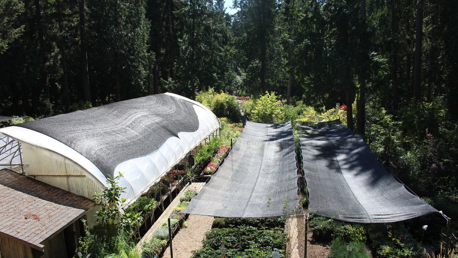 Petition · Allow Fraser's Thimble Farms to water their Nursery - Canada ...