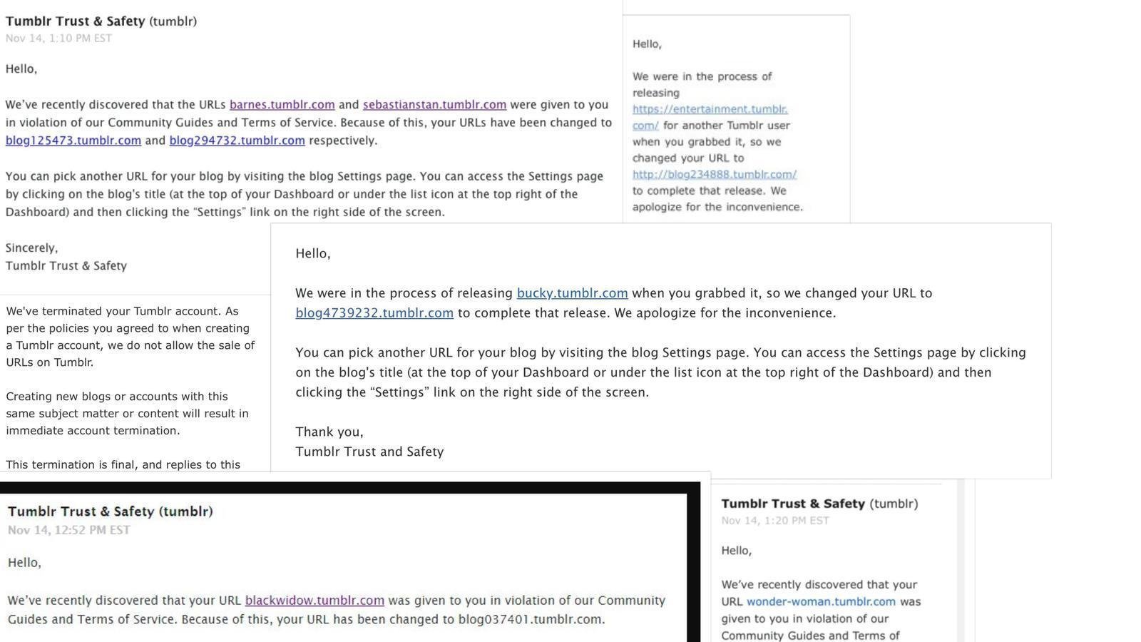 Petition · Tumblr, restore the accounts and URLs of your userbase ...