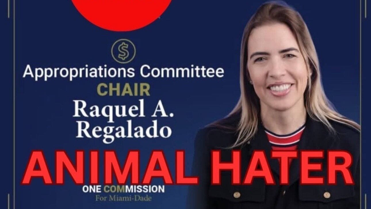 Petition · Recall Commissioner Raquel Regalado for Criminalizing ...