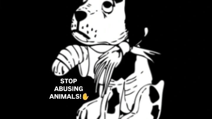 Petition · Stop Abusing Animals - Cabucgayan, Philippines · Change.org